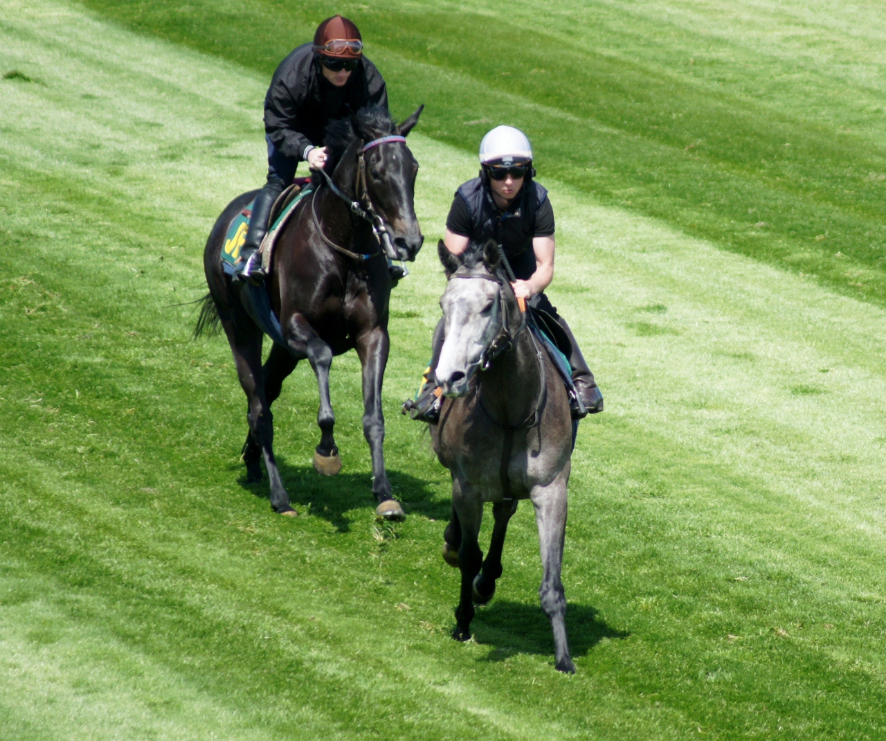 Julia Feilden Racing