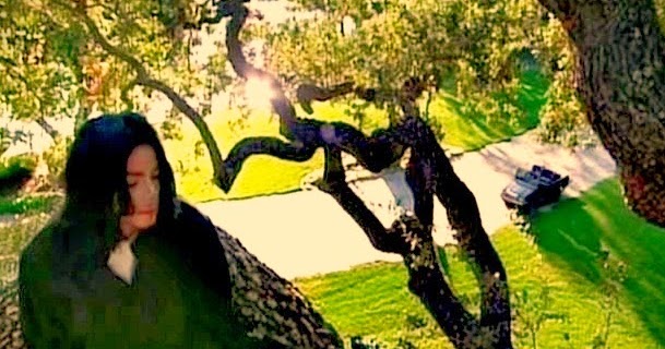 Cartas para Michael: Sobre a árvore generosa