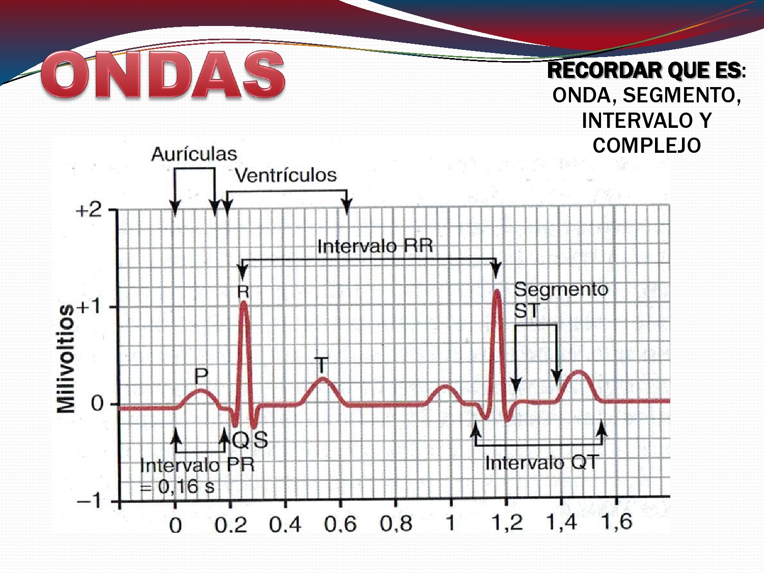 TEMAS MÉDICOS: ELECTROCARDIOGRAMA NORMAL