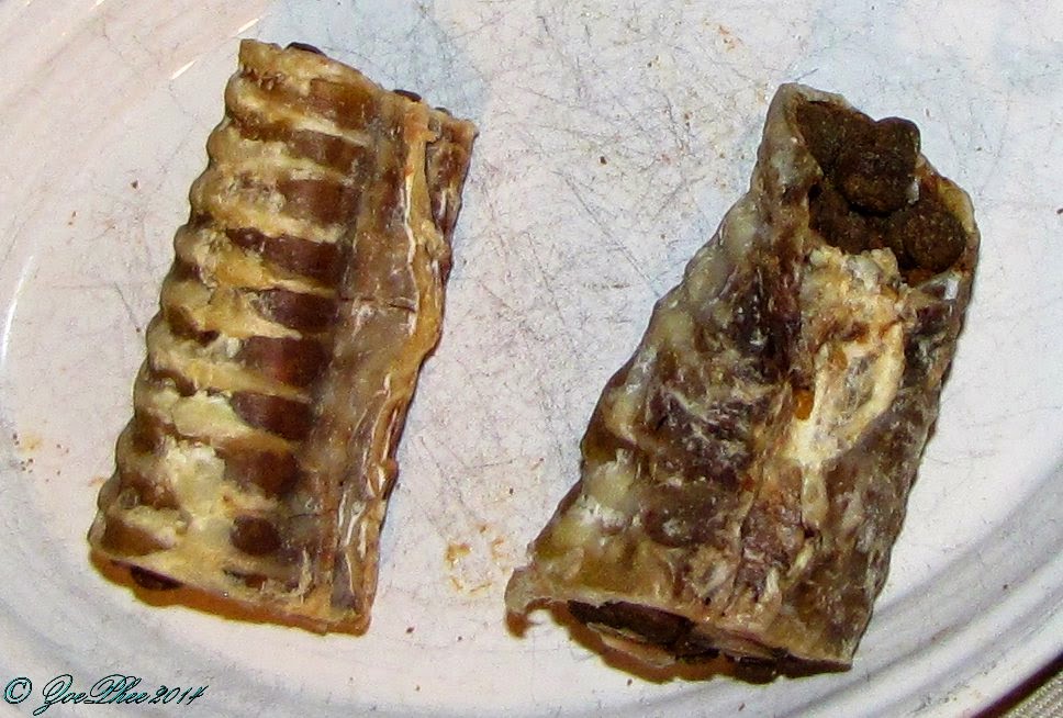 ZoePhee: Stuffed Beef Trachea on Tasty Tuesday