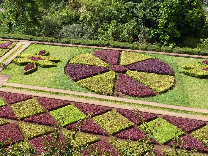 Lo que veo en el mundo: Jardines geométricos