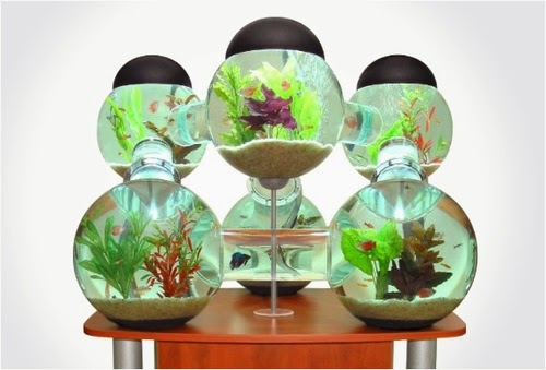 Design Stack: A Blog about Art, Design and Architecture: Maze Aquarium