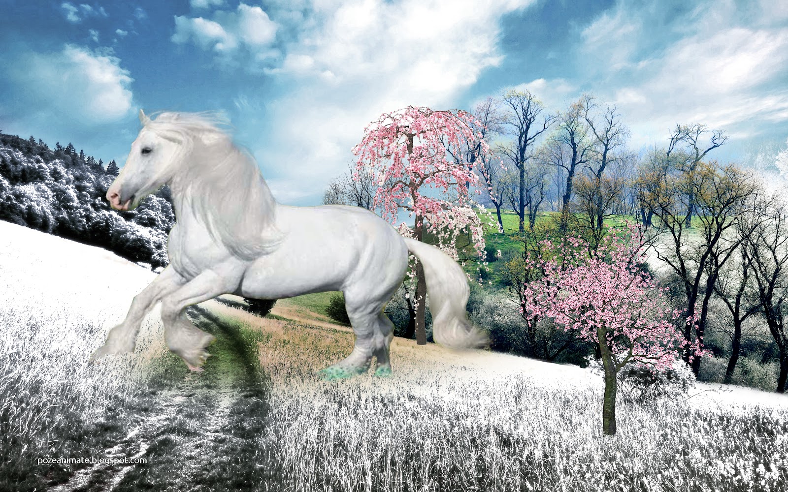 Fundaluri pentru desktop Hd