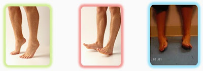 Ejercicio Terapéutico by Padrino: Ejercicios de Risser y Fuerza ...