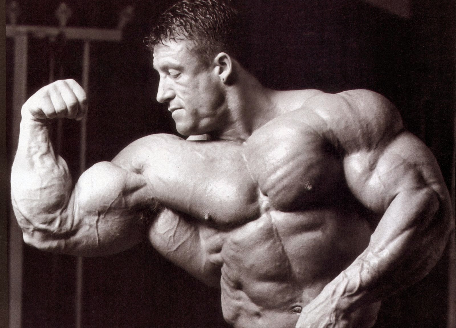 Dorian Yates - Treinamento - Fórum Hipertrofia