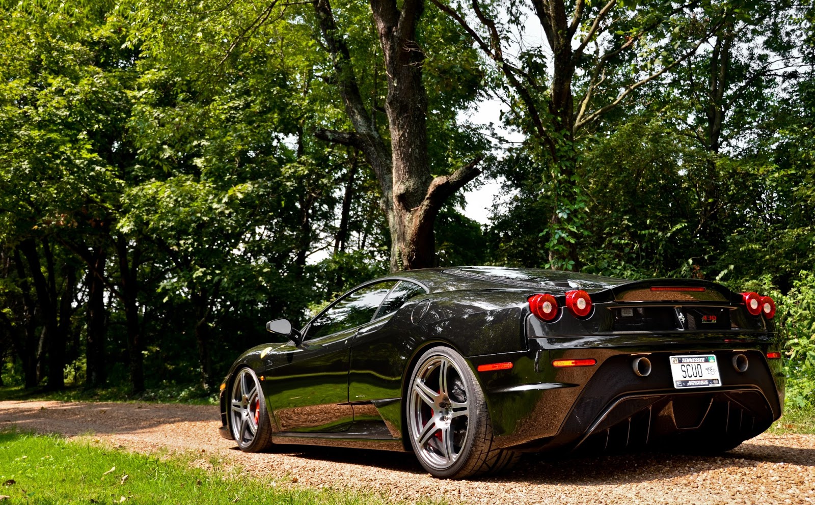 Ferrari Black In The Rree Back View Wallpaper ~ Cars Wallpapers HD