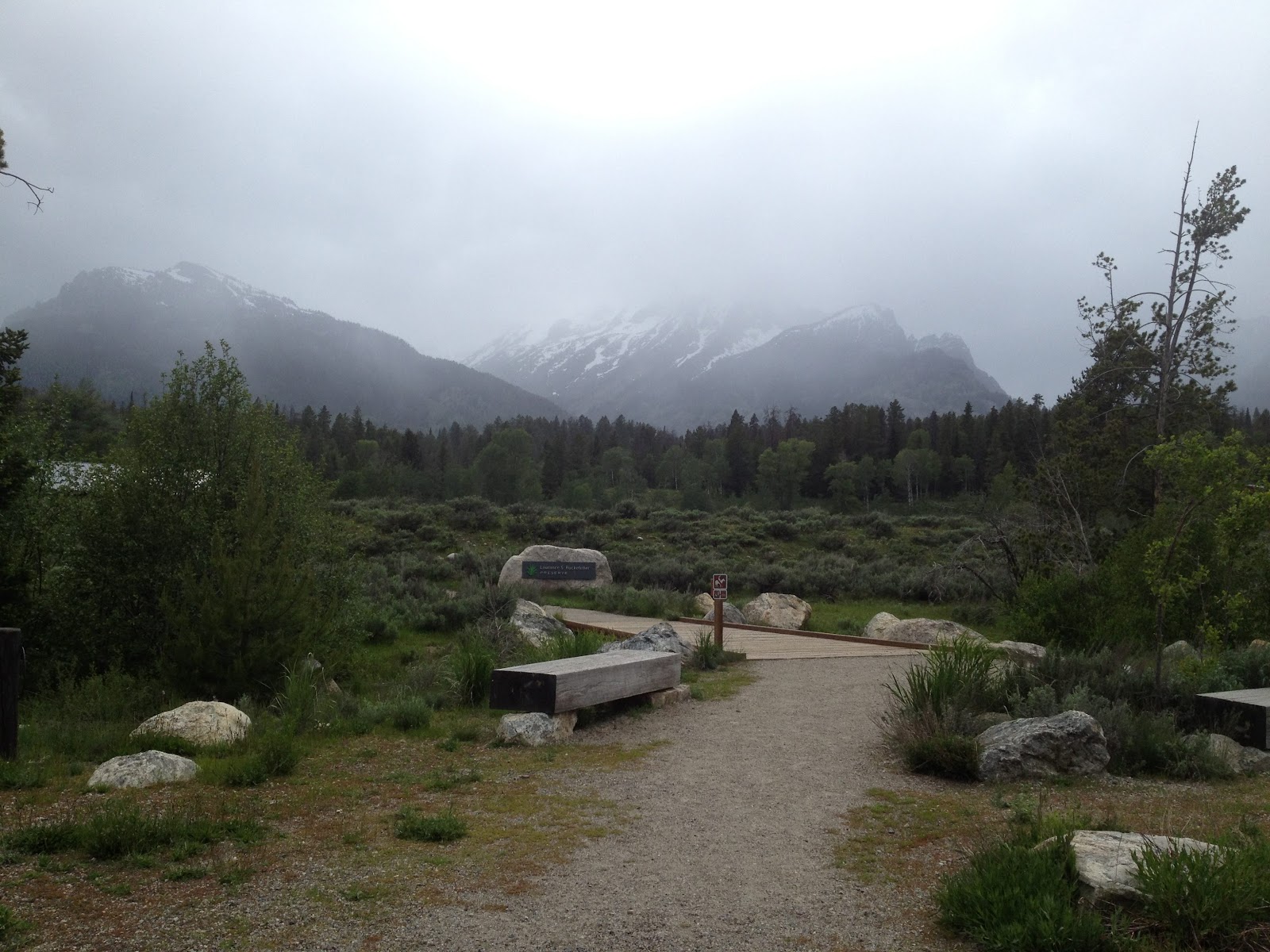 The Wolff's Tale: Laurance S. Rockefeller Preserve