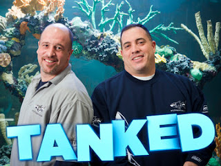 Watching Way Too Much: HOLY COW...BRETT RAYMER FROM TANKED READS MY ...