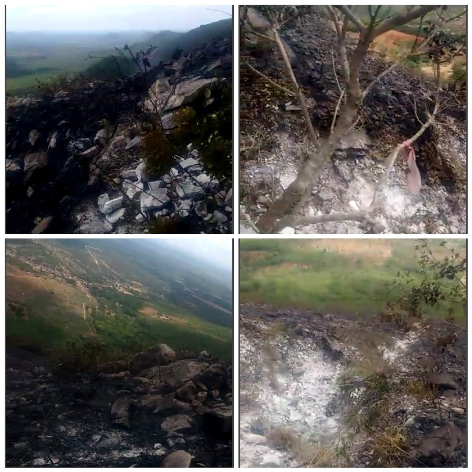 Jaguarari: Parte do incêndio na Serra do Cruzeiro em Catuni é debelado ...