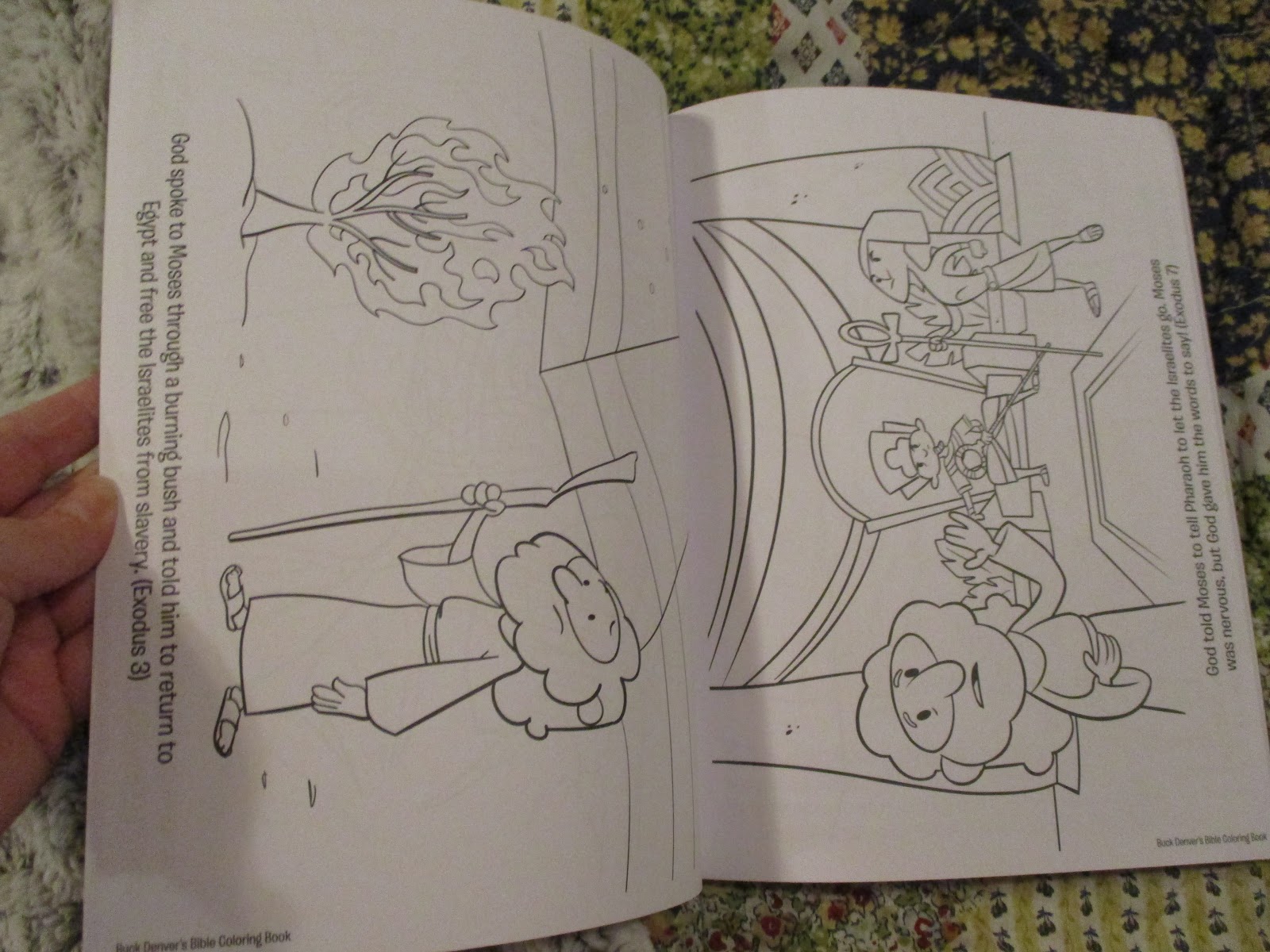 Missy's Product Reviews : Buck Denver’s Bible Coloring Book Old ...