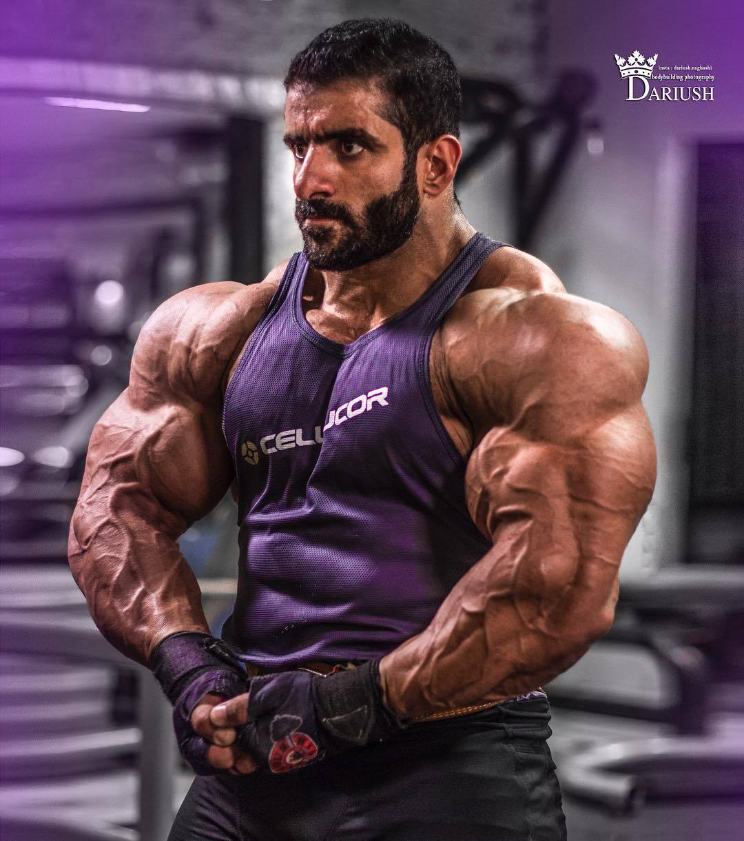 Worldwide Bodybuilders: Hadi Choopan - The Persian Wolf