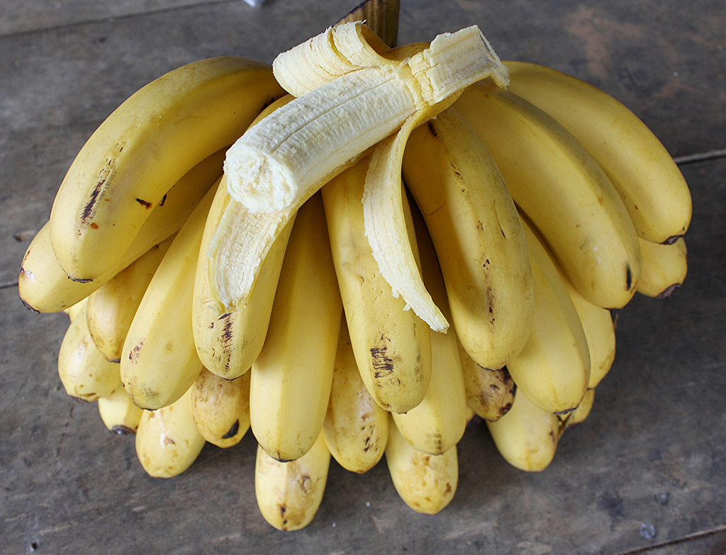 lakatan - philippin news collections