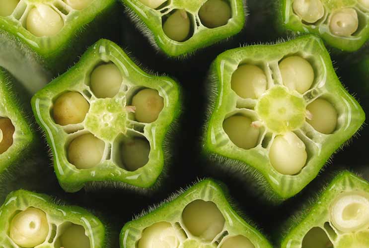 delicia natural organicos: GUISO DE POLLO CON OCRA