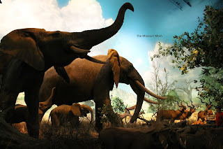 The Missouri Mom: Johnny Morris’ Wonders of Wildlife National Museum ...