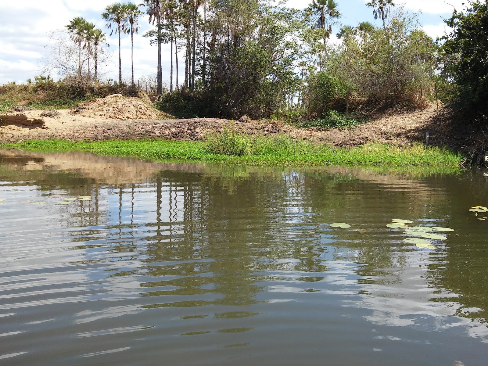 BLOG MORAÚJO NOTÍCIAS: RIO COREAÚ: Conheça a história do Rio mais ...