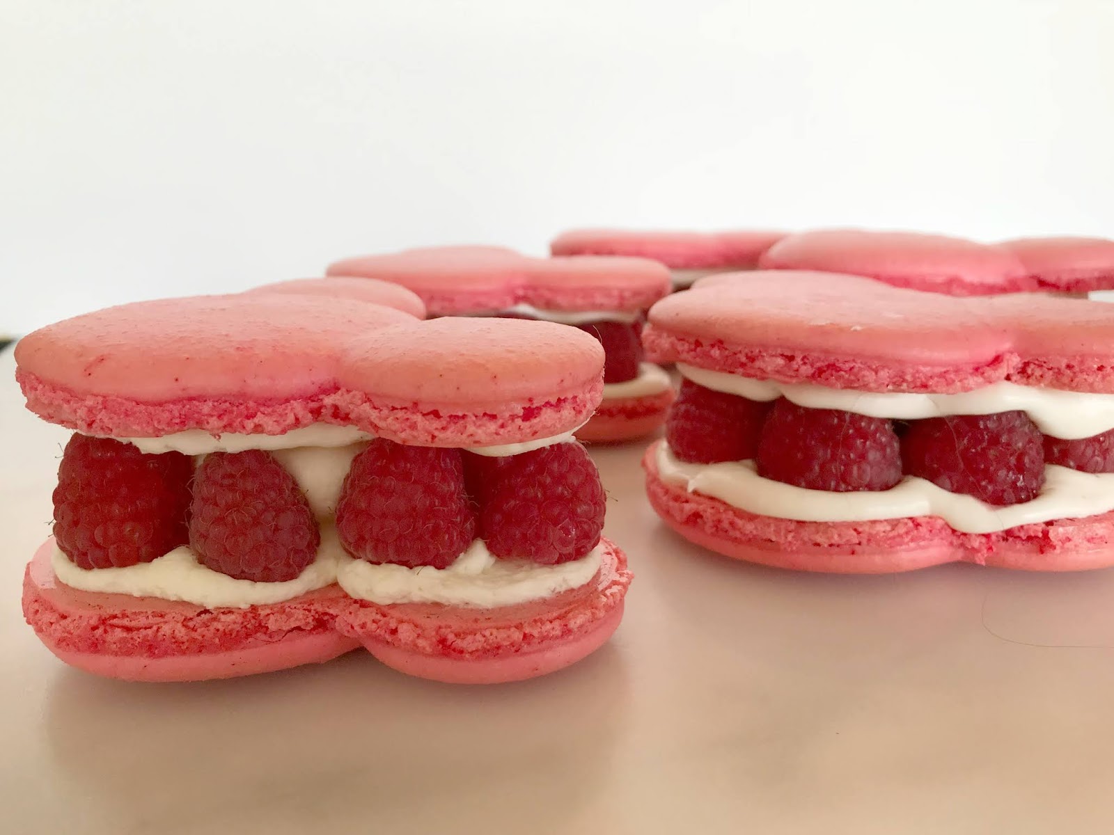 Mickey and Minnie Macarons, A Trip to So Cal - Purple Chocolat Home