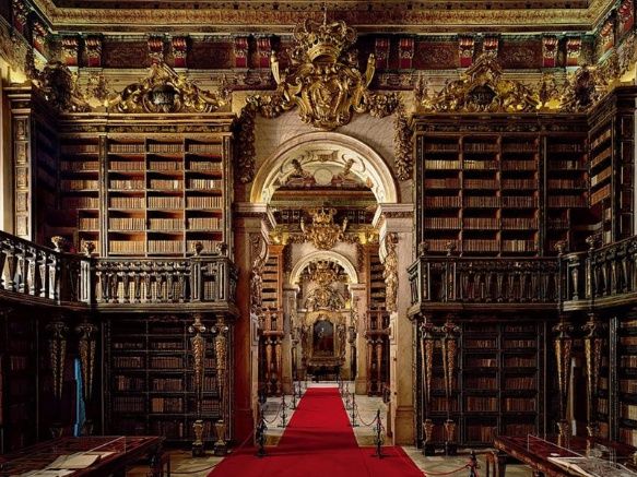 Bibliotecas reales + bibliotecas digitales: lectura para todos los gustos