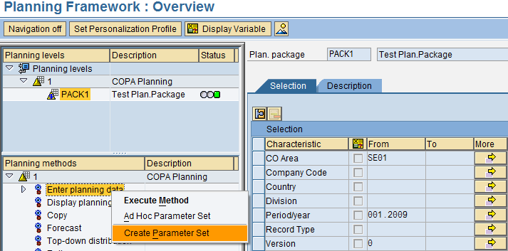 SAP FICO Central: COPA Planning