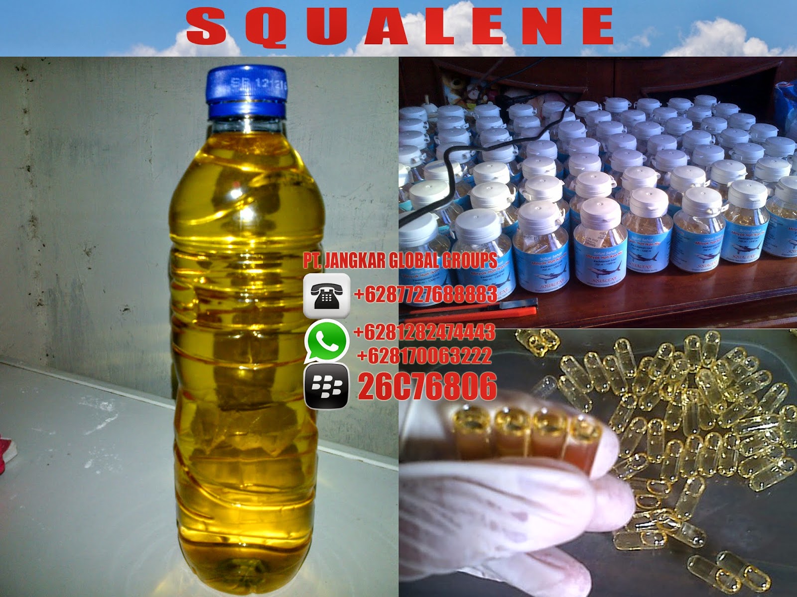 Jangkar Groups: PABRIK MINYAK HATI IKAN HIU BOTOL SQUALENE