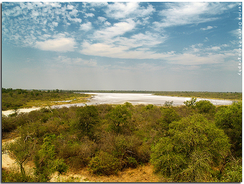 Ambiente, Desarrollo y Sociedad: Introducción al Chaco Seco