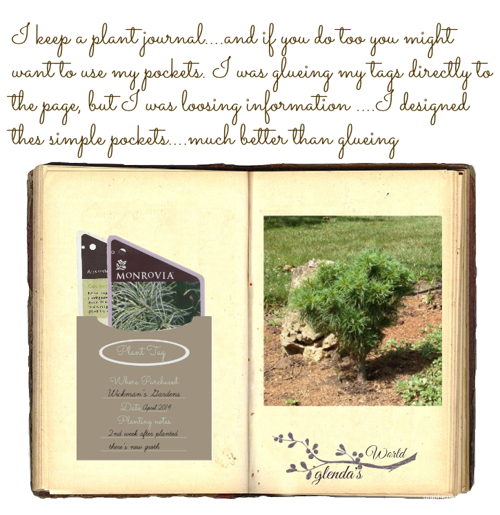 glenda's World : Plant Journal Pockets