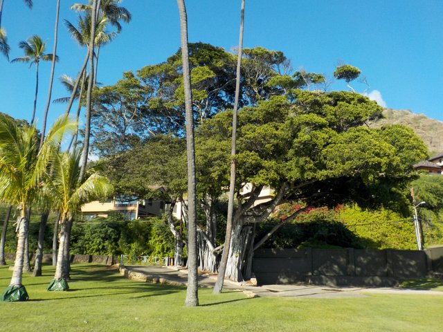 Leahi Beach Park - Diamond Head Honolulu