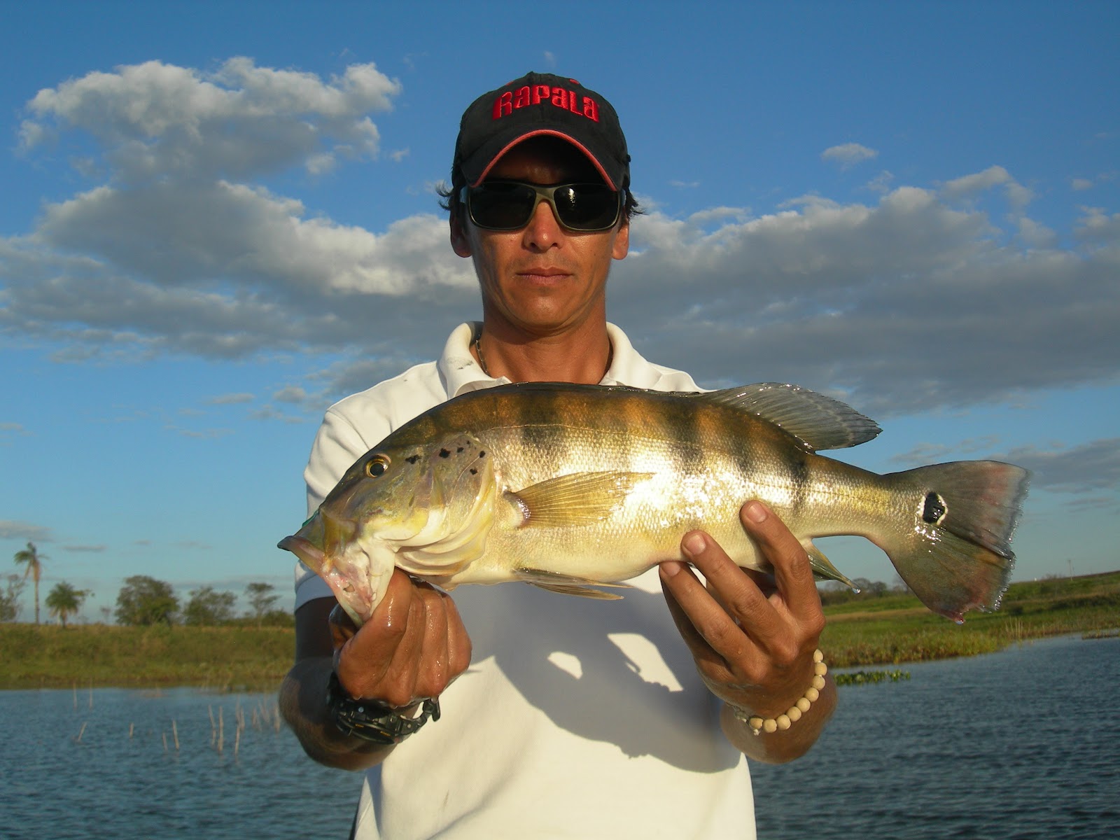 Pesca Saga Esportiva: Tucunarés mineiros