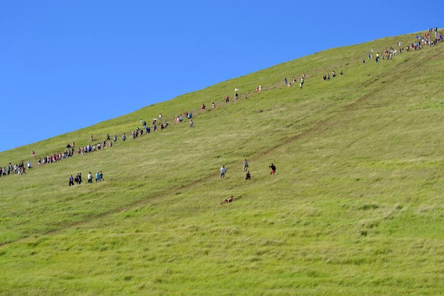 VAI NA MINHA: TAPATI - Haka Pei - Bobsledge Ancestral