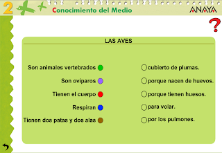 Mamíferos, aves, anfibios, reptiles y peces. | BLOG PRIMER CICLO SISIUS