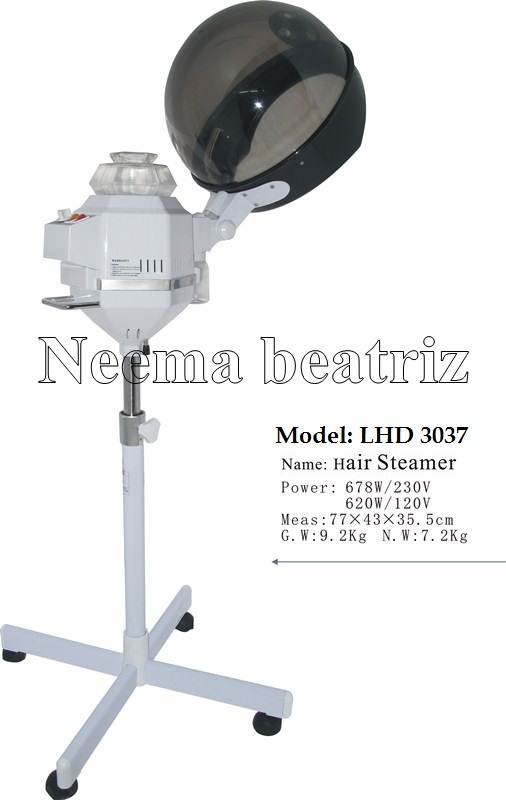 Harga terbaru Hair Steamer rambut