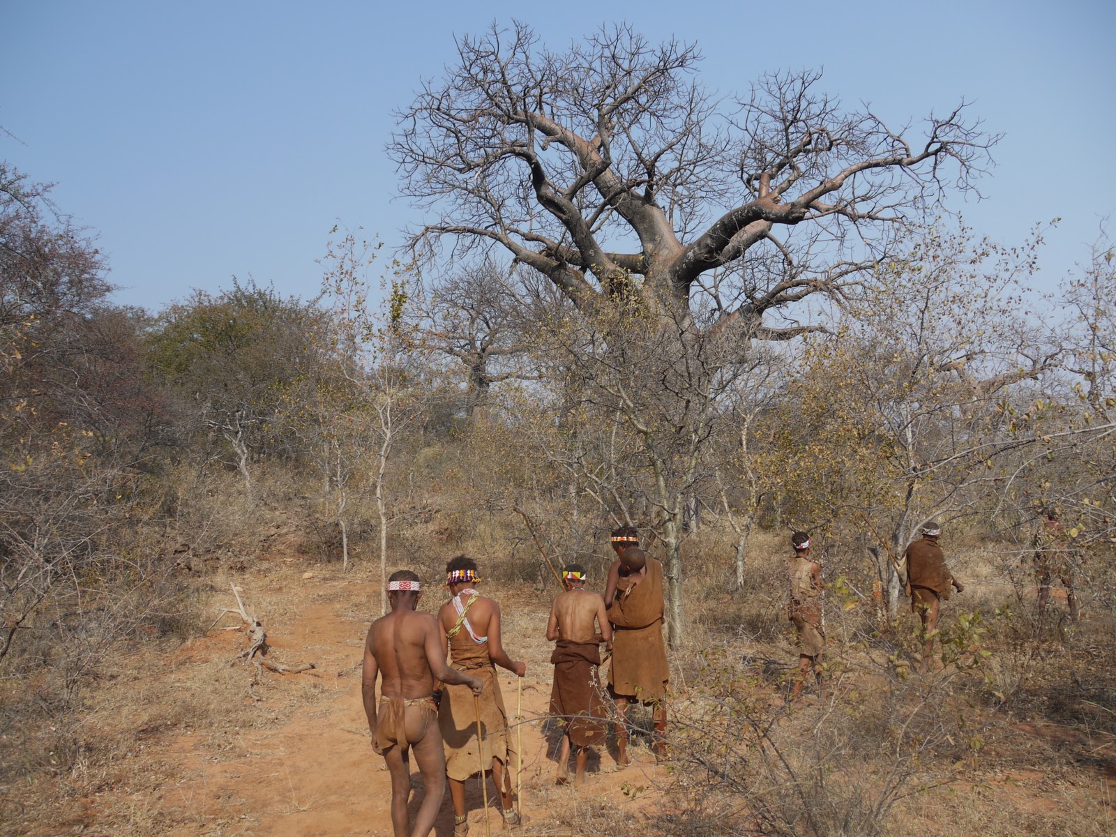 photoscope: Tribes: The Bushmen in Botswana