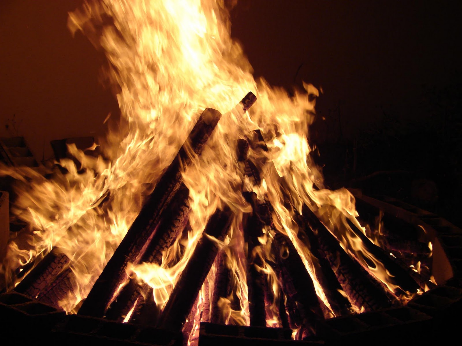 Coach Tenroler Coaching para Gestão Estratégica e Desenvolvimento ...