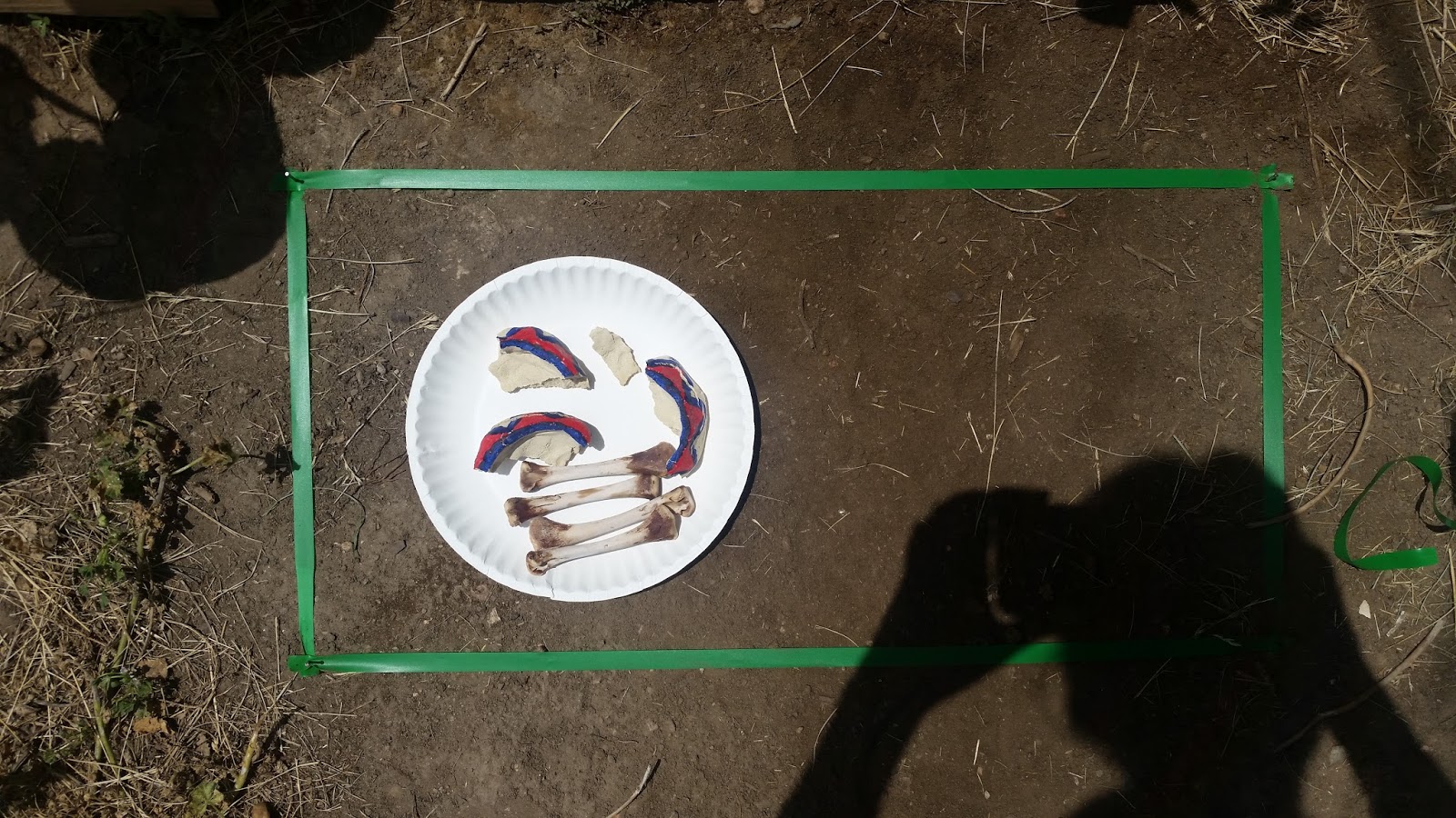 Glimmercat Education: Staging an Archaeological Dig