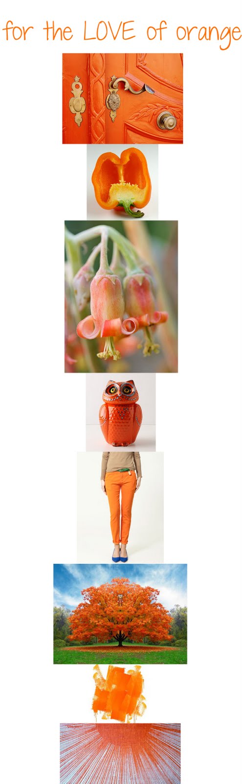 A Spoonful of Sugar: Color Block: Orange