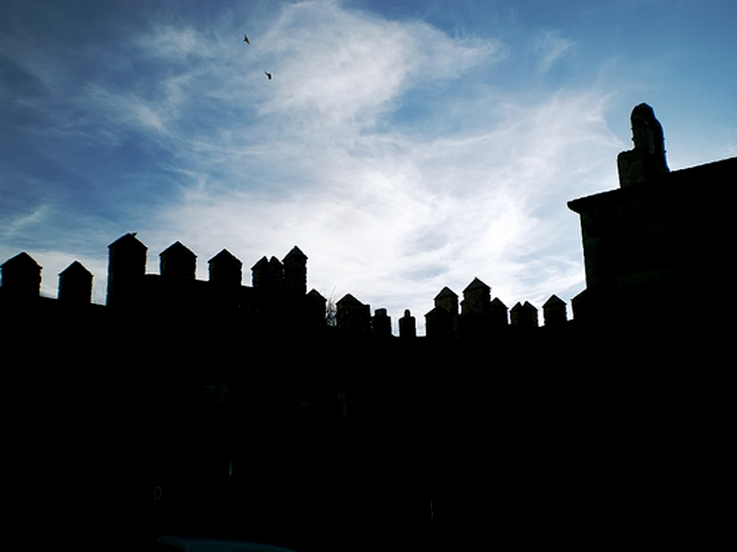 IMAGEN: Cómo resolver un contraluz