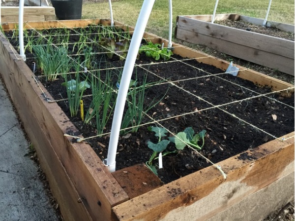 Agrifarming: Seedbed Making Information Guide