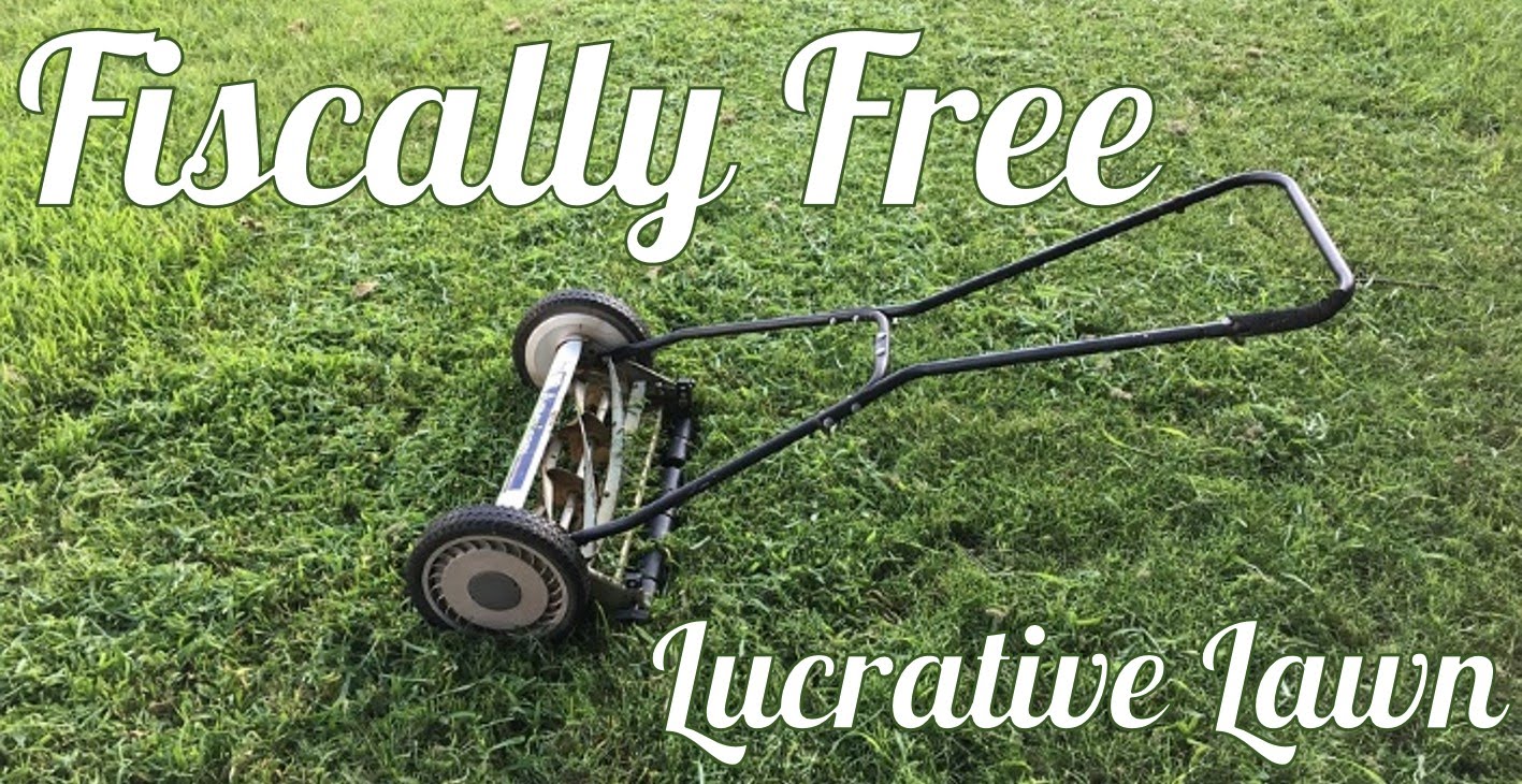 Fiscally Free: Removing Grass - The Best Investment Ever?