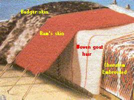 Dee-LIGHT-Full Moments in Life: The Ram's Skin and the Outside Coverings