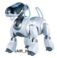 ROBÓTICA: Robots Zoomórficos