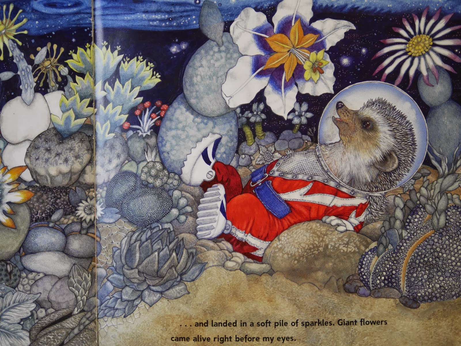 Five Authors that Illustrate Beautiful Picture Books - Backwoods Mama