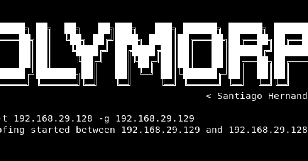 Polymorph - A Real-Time Network Packet Manipulation Framework With Support For Almost All ...