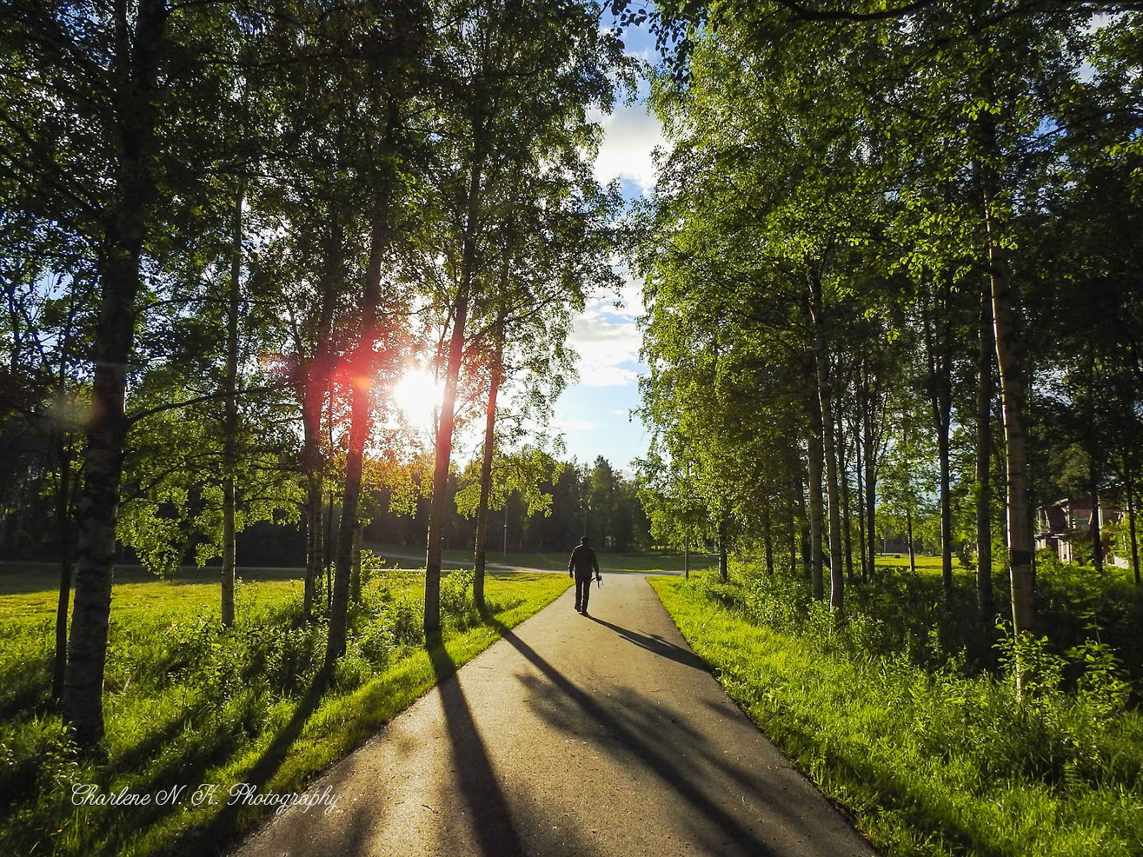 Fading Summer |Blissful Solitary Wanderings