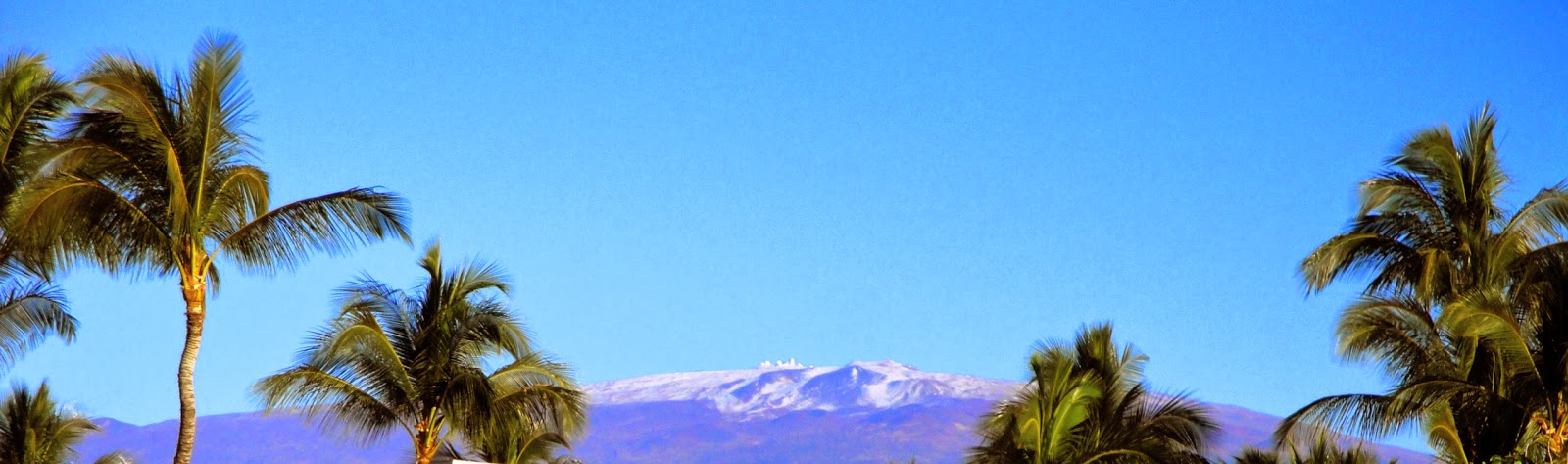 Hilo Living Blog: Balmy arctic winter in Hawaii