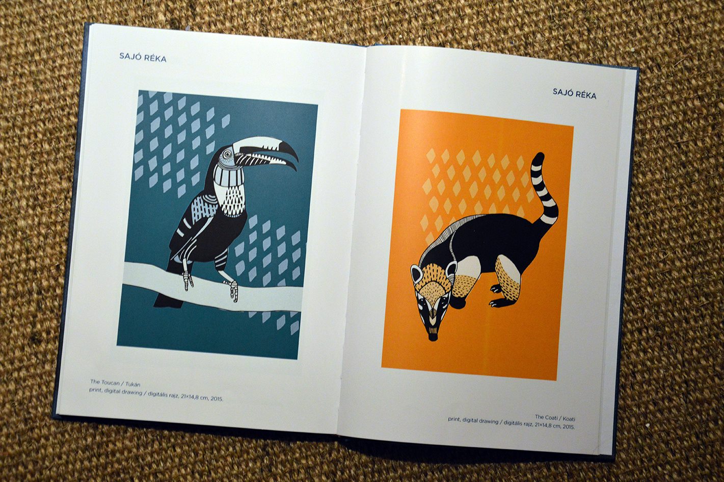 SAJÓ RÉKA ILLUSTRATION & GRAPHIC DESIGN: Blog