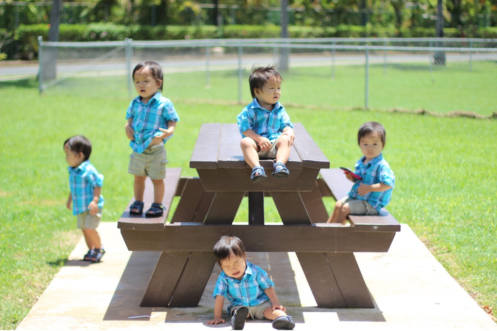 Mei's Photography: Final Project - Multiplicity Photography