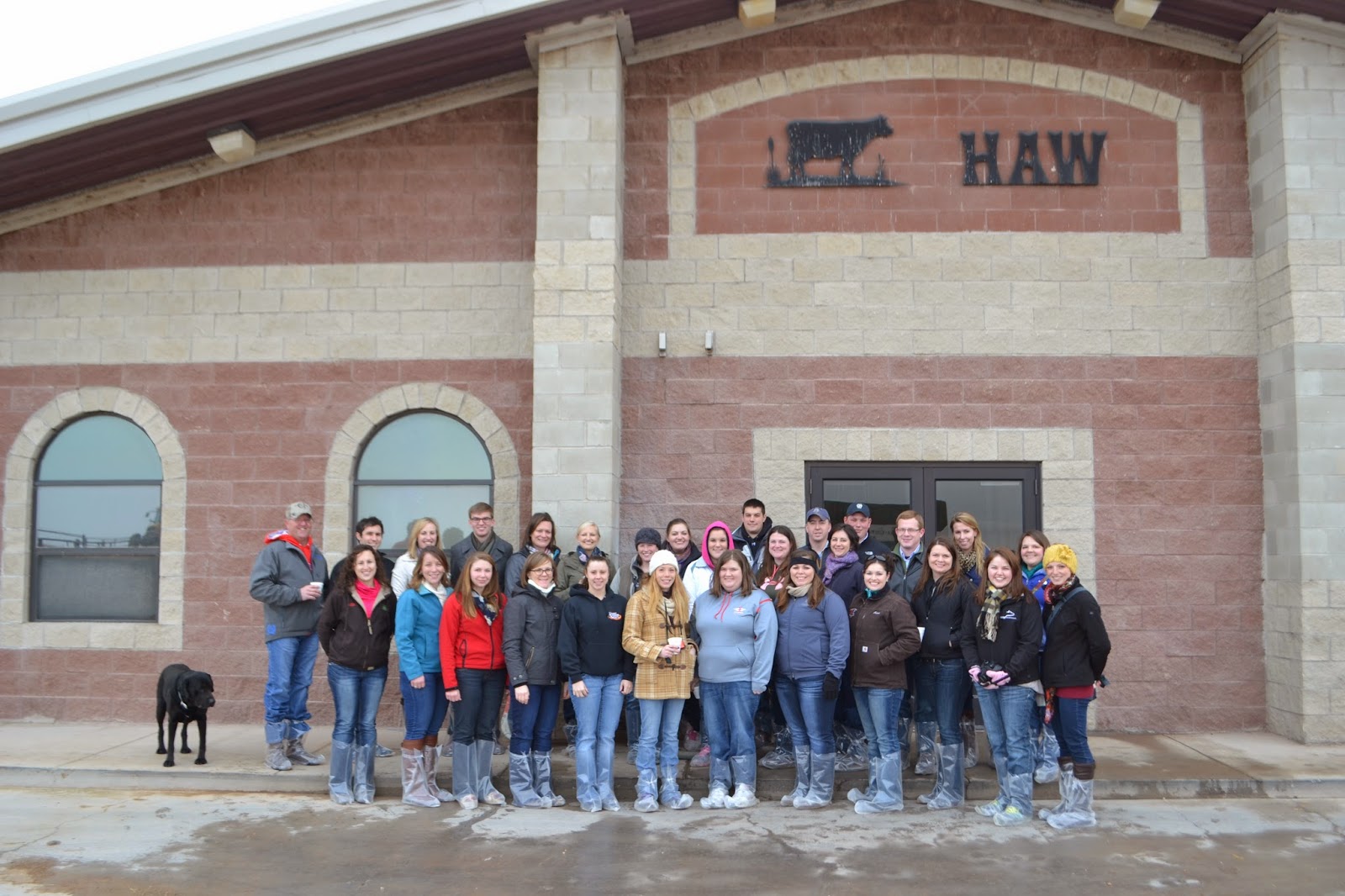 Holstein Foundation's Young Dairy Leaders Institute: YDLI Phase 3 Kicks ...