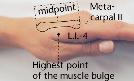 LI 4. Hegu/Heku/Hequ/He Kuk (Kumpulan Lembah) - Terapi Jarum