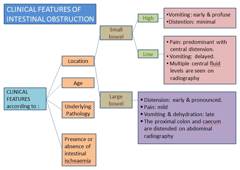 Oktahermoniza Blog's: Obstruksi intestinal