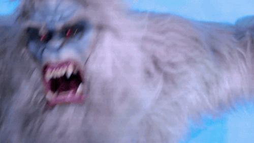 I Loved the Yeti: 2015 Yeti Year in Review