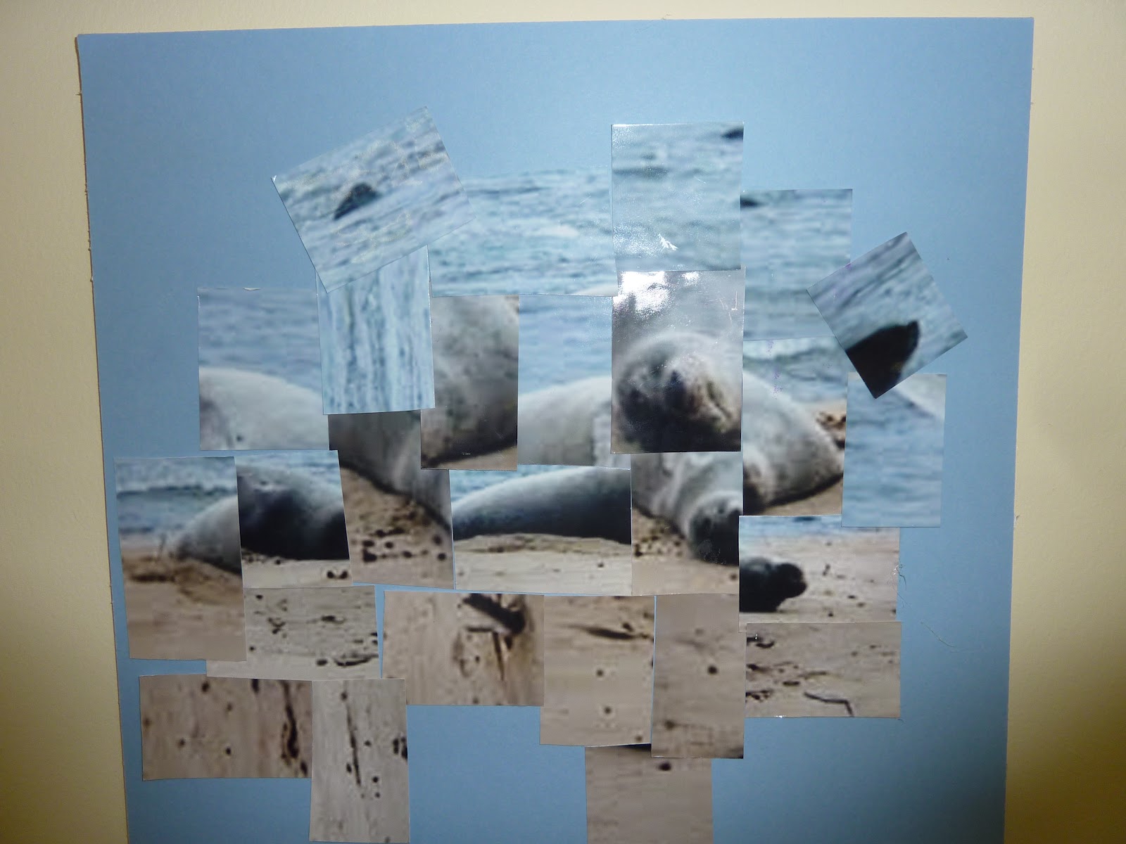 P. C. K. Art Room : Photography Show at the Parker Library